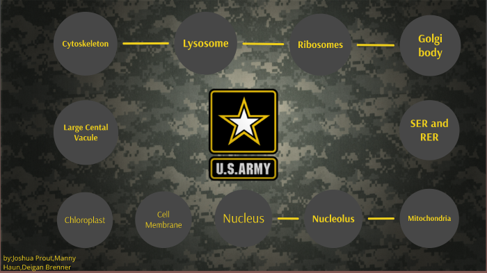 Plant cells/Army Base by josh prout on Prezi