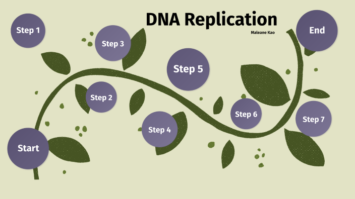 The steps of DNA replication by Maleane Ines on Prezi