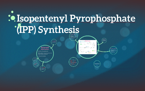 Isopentenyl Pyrophosphate (IPP) Synthesis by Kailey Huba on Prezi