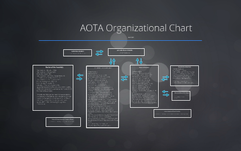 AOTA Organizational Chart by on Prezi