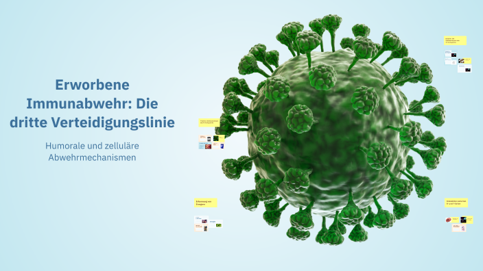 Erworbene Immunabwehr: Die dritte Verteidigungslinie by dilara coskun ...