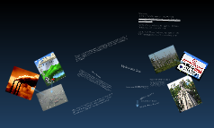 Acid Rain and our Environment by Derek Pranke
