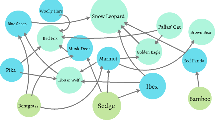 Food Web of the Himalayas by K Z on Prezi