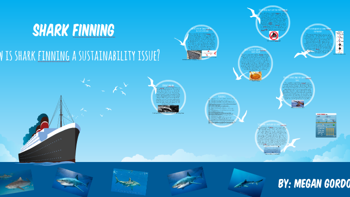 Shark Finning by on Prezi