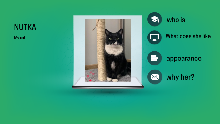 nutka by Weronika Dawidowska on Prezi