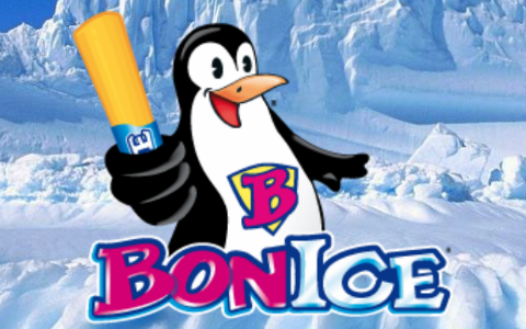 BRIEF PUBLICITARIO DE BONICE by Maria Morales on Prezi