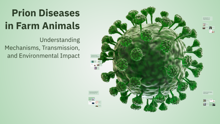 Prion Diseases in Farm Animals by Bdbbe Dbenb on Prezi