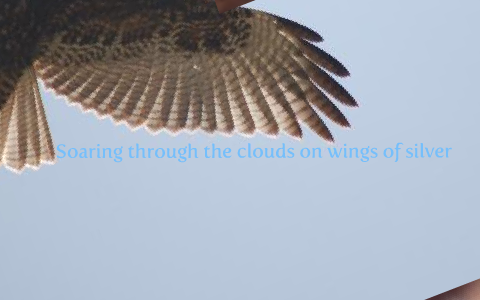 Hawk Poem by spongebobfan4 squarepantsfan4 on Prezi