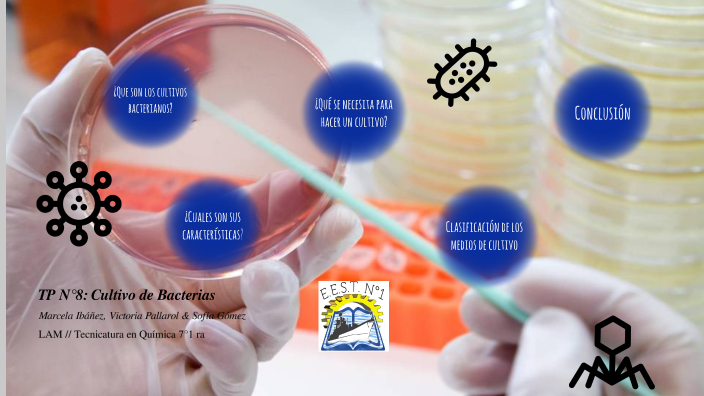 Cultivo de Bacterias by Sofii Gomez on Prezi