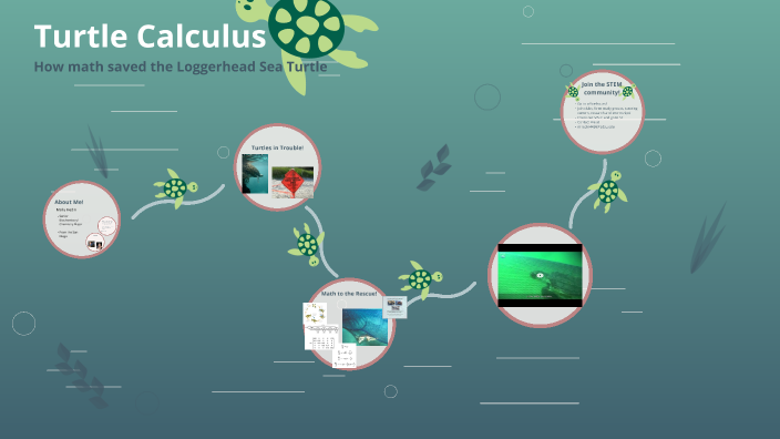 Molly Hedin - Turtle Talks by Susan Nickerson on Prezi