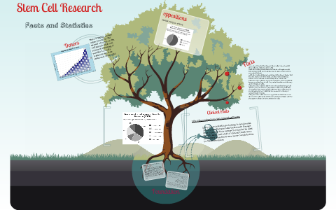 Stem Cell facts and statistics by gabriela edwards on Prezi