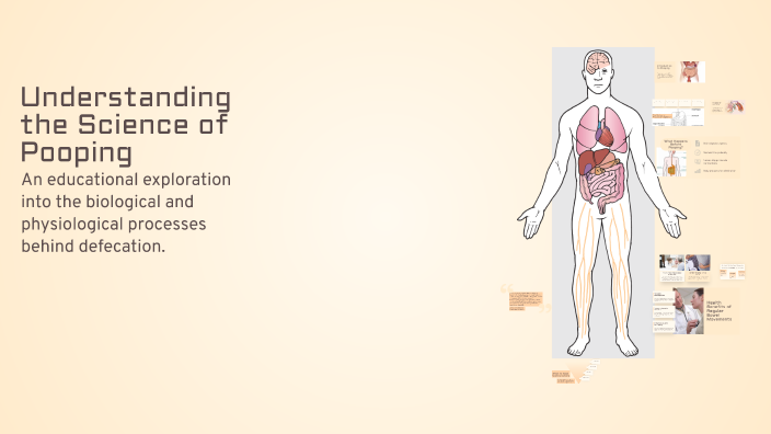 Understanding the Science of Pooping by Elizabete Enija Bravlanska on Prezi