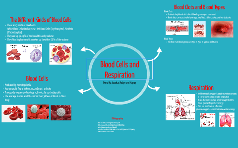 Blood Cells and Respiration by Jess Nicklin on Prezi