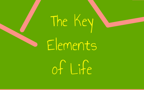 The Key Elements of Life by C Duff