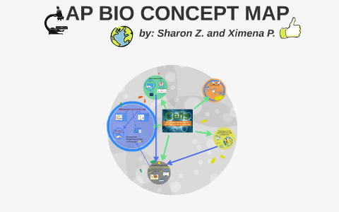 AP BIO CONCEPT MAP by ximena paz on Prezi