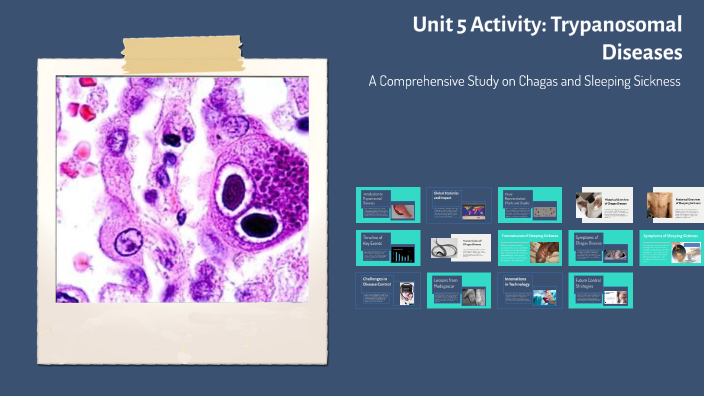 Unit 5 Activity by Lily Truitt on Prezi