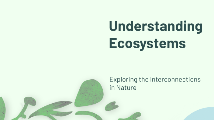 Understanding Ecosystems by VUSUMUZI DUBE on Prezi