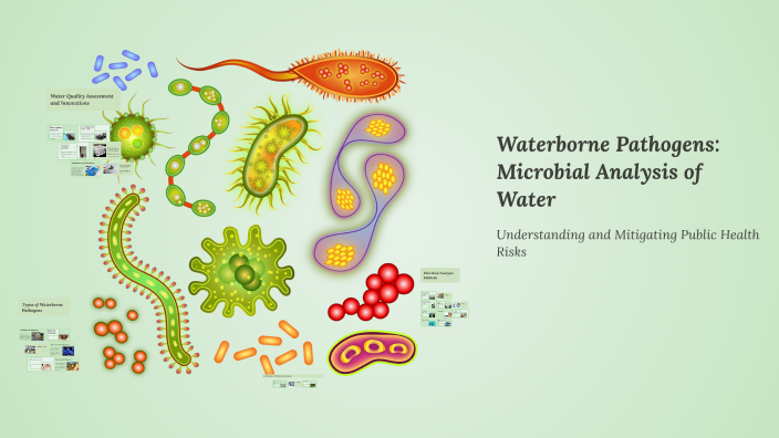 Waterborne Pathogens: Microbial Analysis of Water by Divyanshi Raturi ...