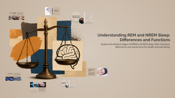 Understanding REM and NREM Sleep: Differences and Functions by Mohisha ...
