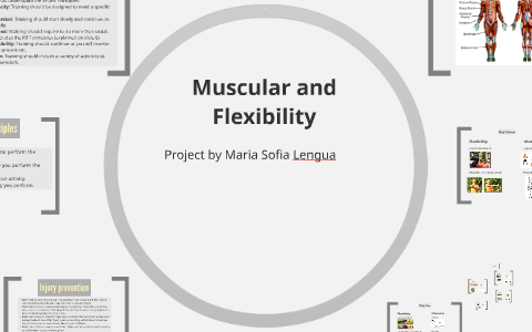 Muscular and Flexibility by sofia lengua