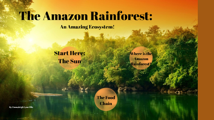 The Ecosystem of the Amazon Rainforest by Emmaleigh Ellis on Prezi
