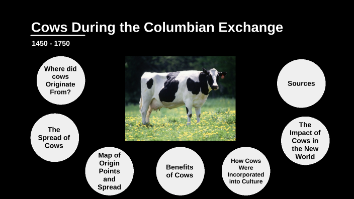 Cows During the Columbian Exchange by Ananya Pinnamaneni and Alejandra ...
