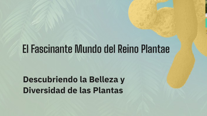 El Fascinante Mundo del Reino Plantae by aron grifil human cordova on Prezi