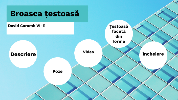 broastele testoase by David Caramb on Prezi