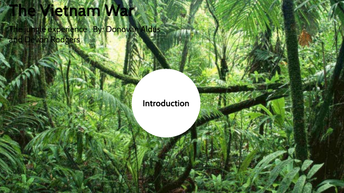 The Vietnam war by devon rodgers on Prezi