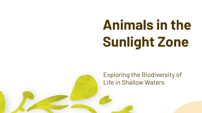 Animals in the Sunlight Zone by Ahmad Yasser on Prezi