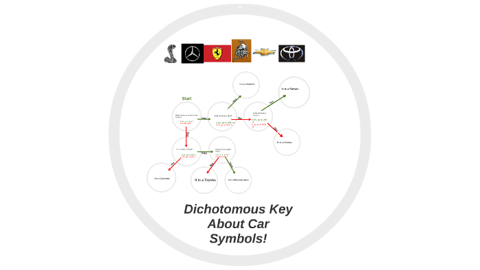 dichotomous Key About Cars by lance koski on Prezi