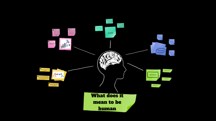 What Does It Mean To Be Human by Exavior Galaviz on Prezi