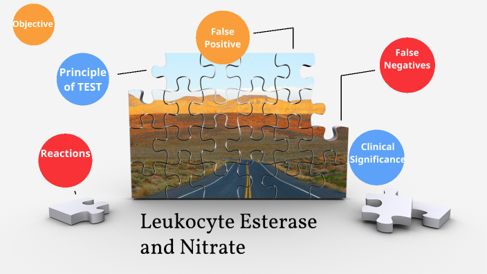 Nitrate and Leukocyte Esterase by Leah Buchanan on Prezi