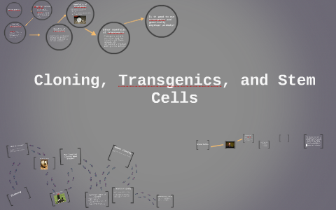 Cloning, Transgenics, and Stem Cells by Grant Eckhoff on Prezi