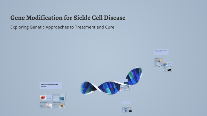Gene Modification for Sickle Cell Disease by sefania goncalves on Prezi