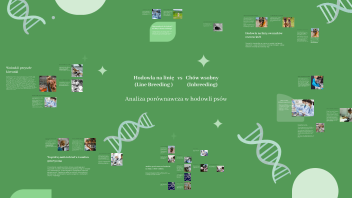 Line Breeding vs Inbreeding by Shulqo on Prezi