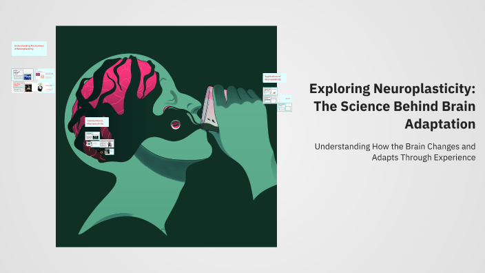 Exploring Neuroplasticity: The Science Behind Brain Adaptation by B G ...