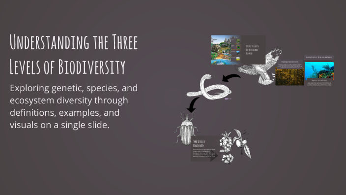 Understanding the Three Levels of Biodiversity by Ammar Efat on Prezi