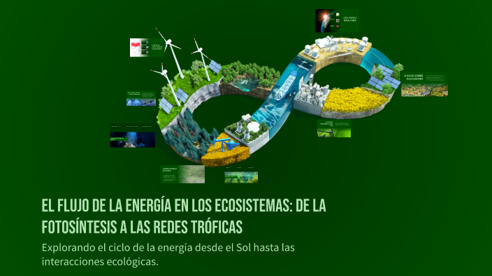 El Flujo de la Energía en los Ecosistemas: De la Fotosíntesis a las ...