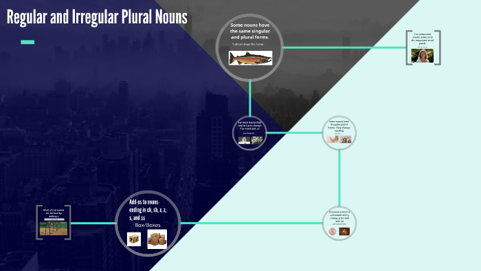 Regular and Irregular Plural Nouns by Gary Matus on Prezi