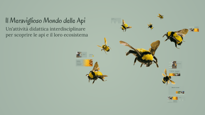 Il Meraviglioso Mondo delle Api by Palma Rattoballi on Prezi