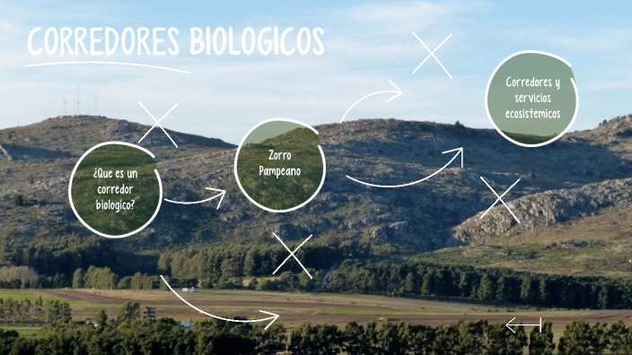 CORREDORES BIOLOGICOS by Micaela Maggiolo on Prezi
