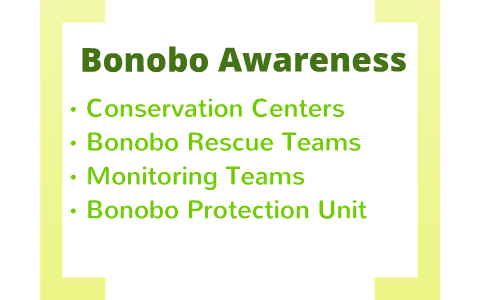 Bonobo Conservation Initiative Activities and Projects by BCI Bonobo on ...