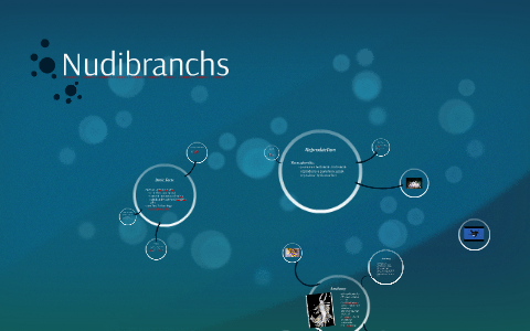 Nudibrachs by Molly Hardie on Prezi