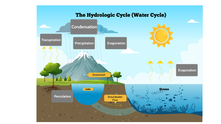 Water Cycle by Kason Hooks