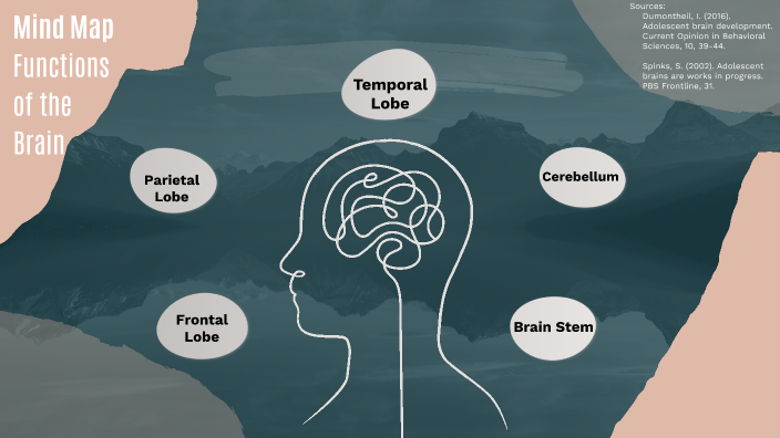 Mind Map: Functions of the Brain by Sonny Miller on Prezi