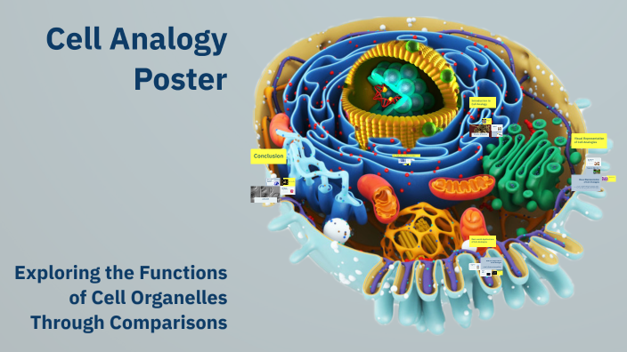 Cell Analogy Poster by Keaton Pardy on Prezi