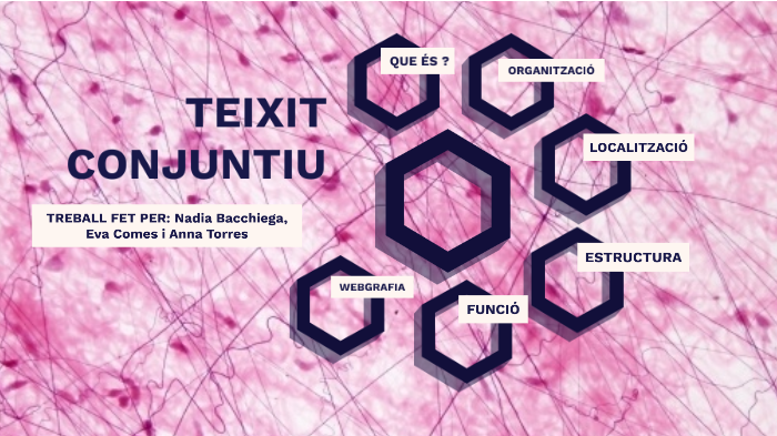 EL TEIXIT CONJUNTIU by Nadia Bacchiega Orteu on Prezi