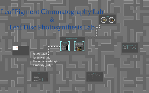 Leaf Pigment Chromatography lab & by Myjaecia Washington on Prezi