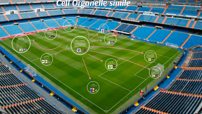 Cell Organelle simile by Kelvin Rodriguez on Prezi